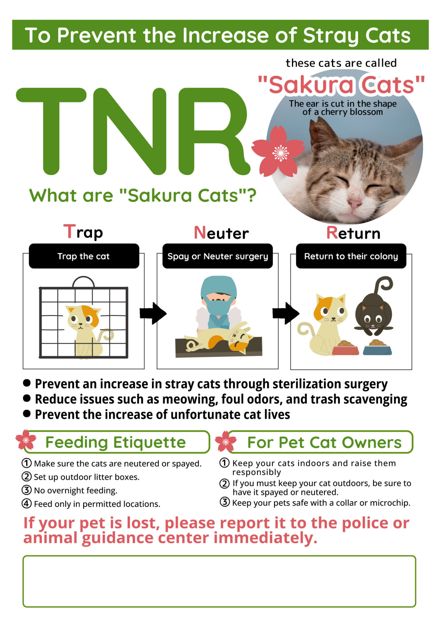 【英語版】TNR活動啓発チラシ / TNR Awareness Flyer (English version) | ネココト